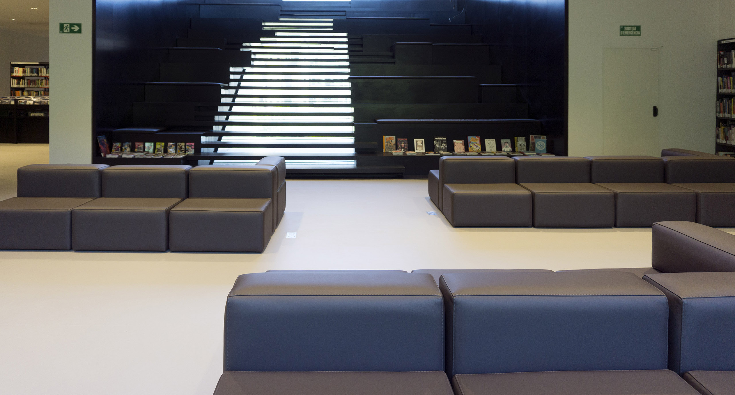 #50 Joan Oliver Library - Crearte Collections